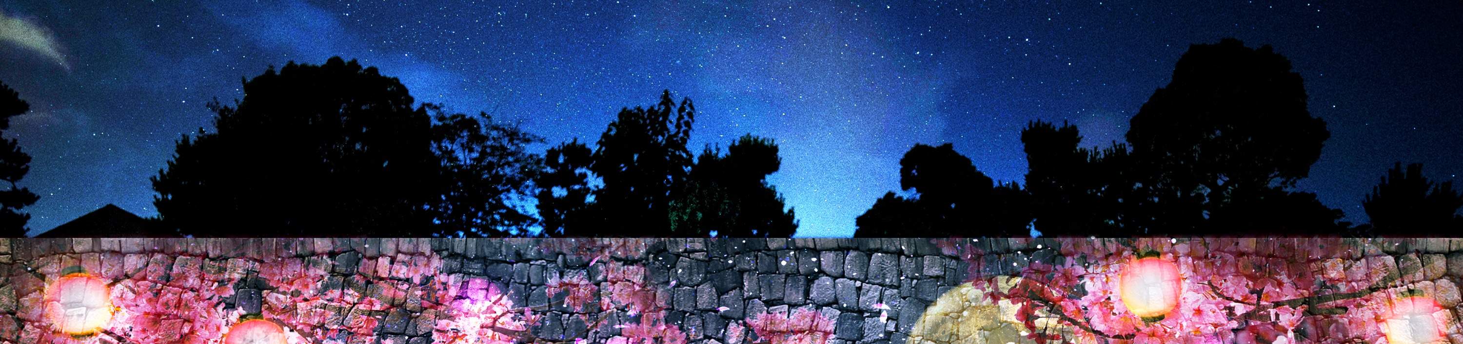 日本京都世界遺產二條城 NAKED FLOWERS 2023 夜櫻光雕秀門票 Klook香港
