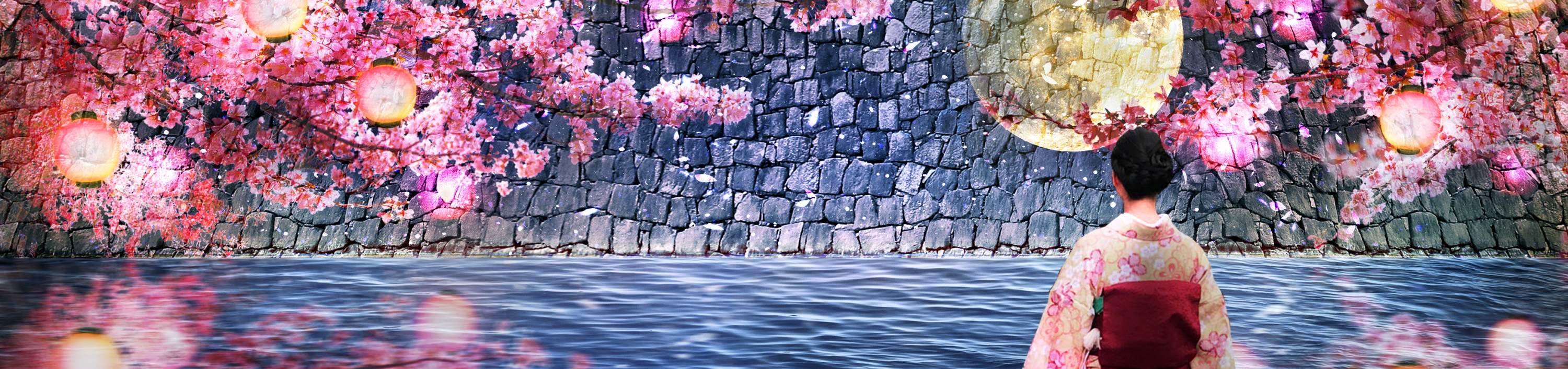 日本京都世界遺產二條城 NAKED FLOWERS 2023 夜櫻光雕秀門票 Klook香港