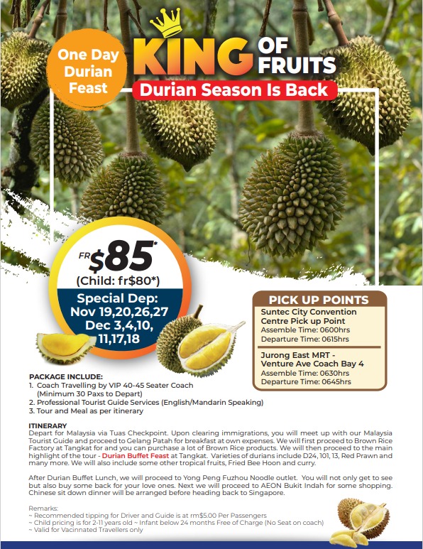 All You Can Eat Durian Buffet in JB - Klook Canada