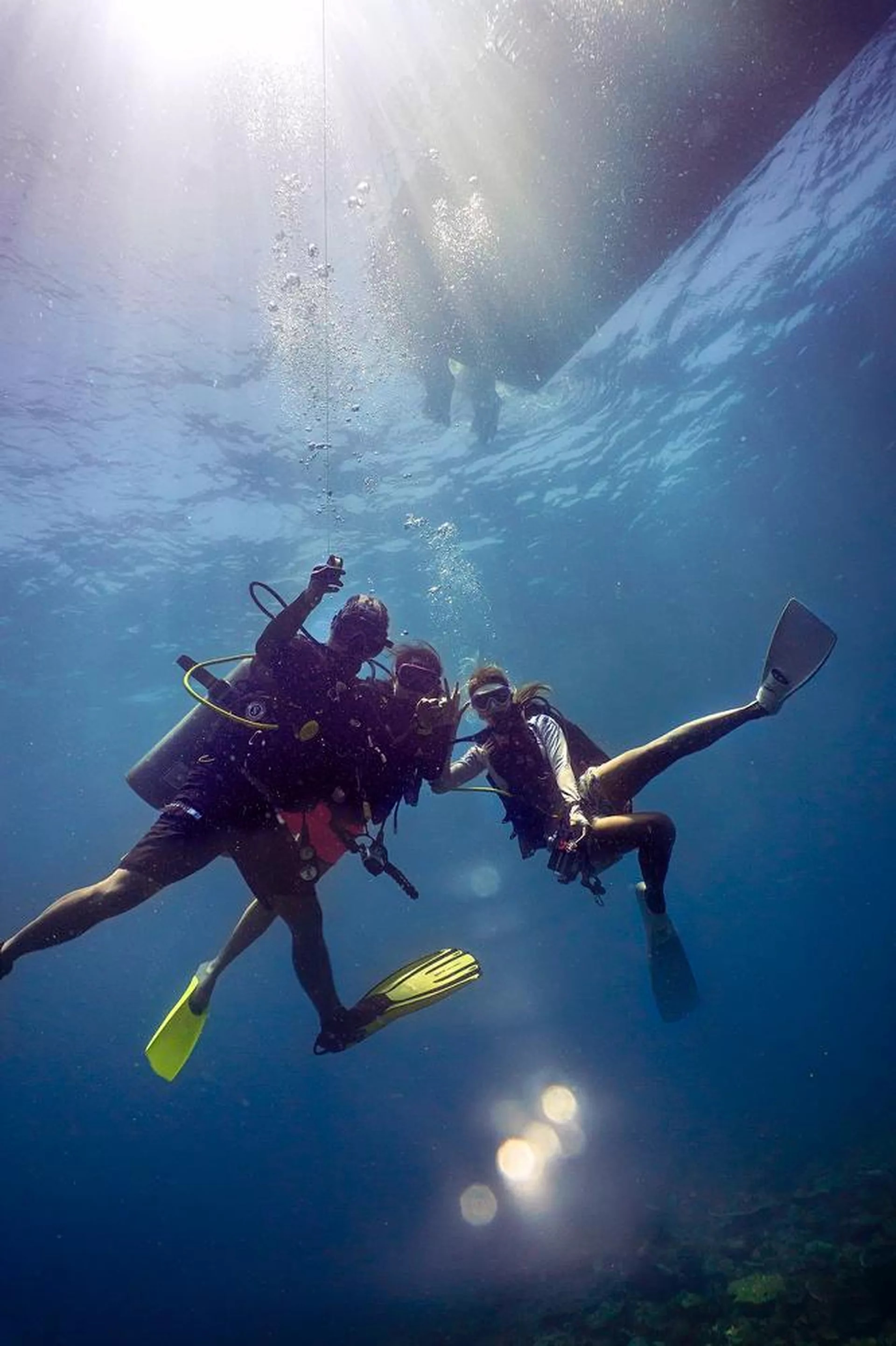 Dive deeper into the underwater world of Kota Kinabalu with our ...