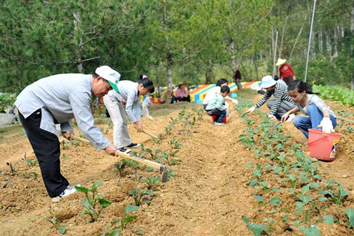 [SALE] 7% Off on Guangming Farm Park Tickets in Shenzhen - Ticket KD