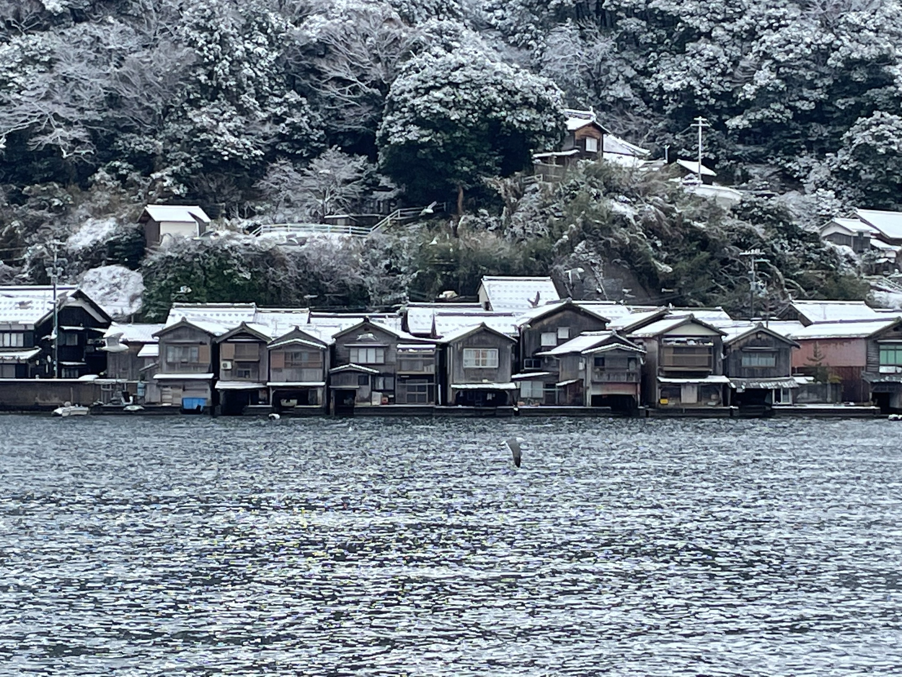 Amanohashidate, Ine Funaya tour with cable car and cruise experience