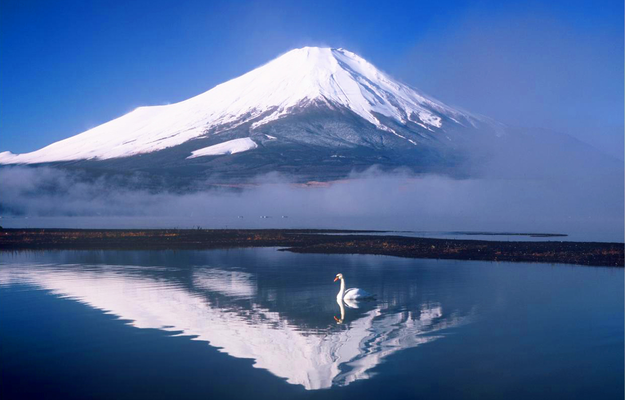 [시즈오카] Mt. Fuji Land and Water Tour｜Yamanakako Kaba Amphibious Bus/Swan ...