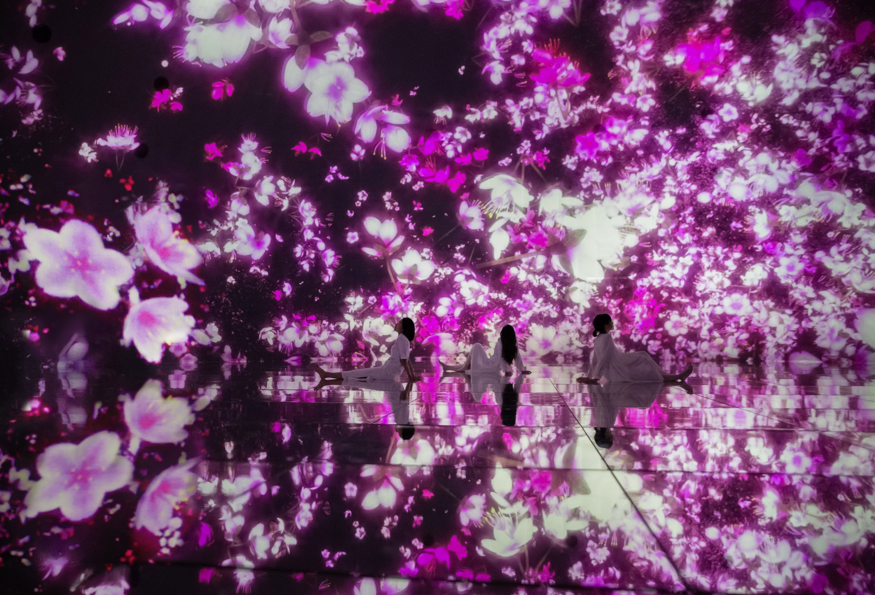 TeamLab Planets Tokyo Ticket HyperAir