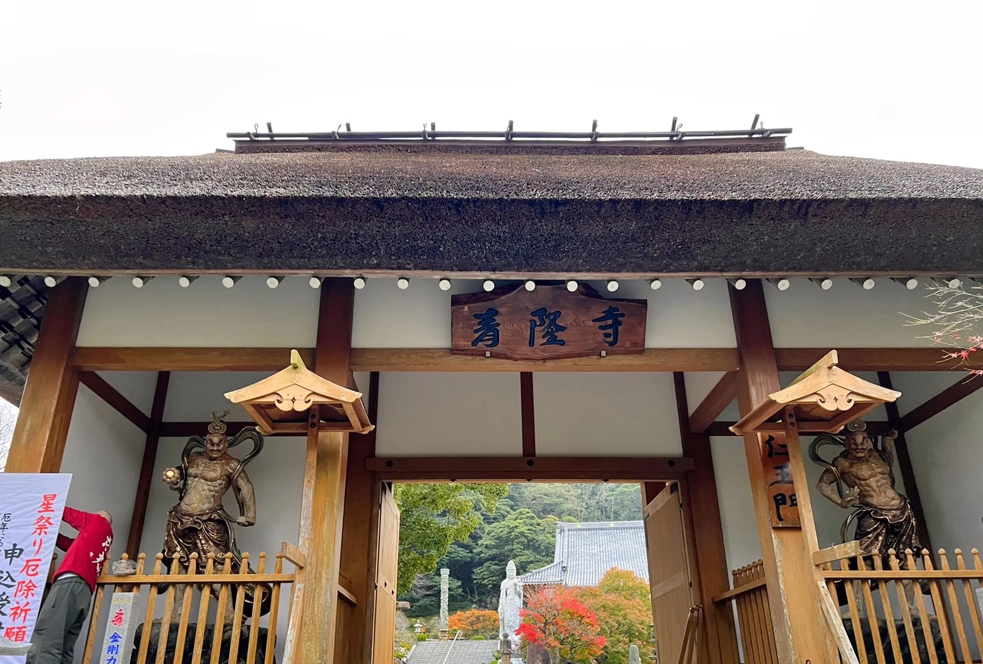 [Kagoshima] [Kagoshima Ibusuki Day Trip] Winter Limited Rapeseed Flower ...