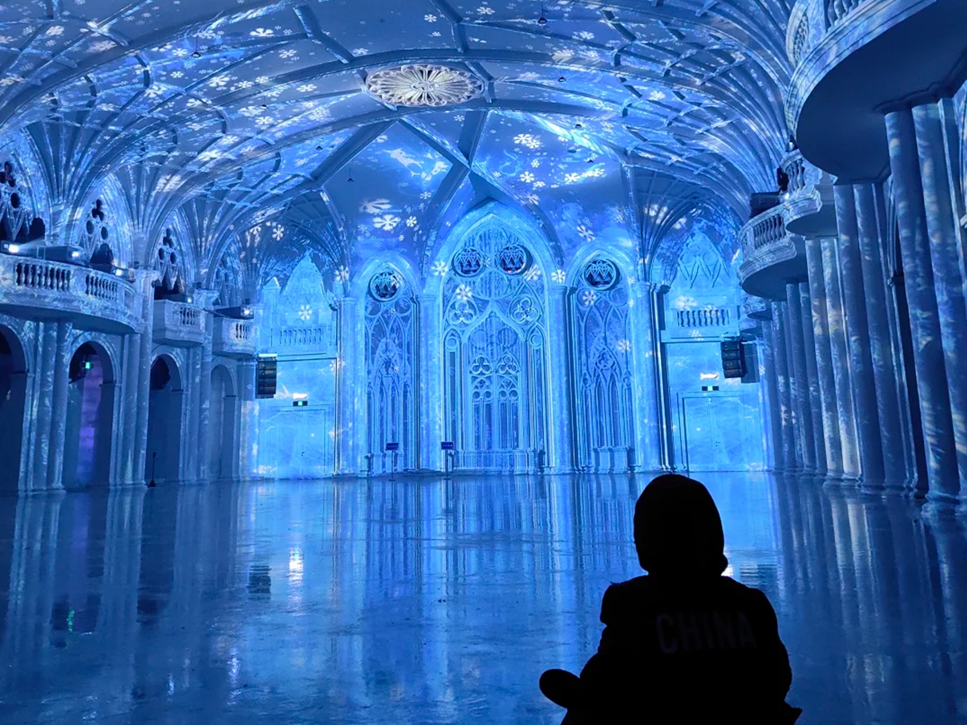 Harbin's Ice and Snow Dreamland, part of Ice and Snow World, is the world's largest indoor ice ...