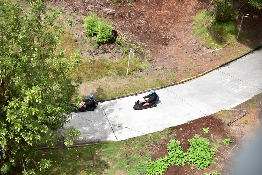 Skyline Gondola and Luge Ticket in Rotorua