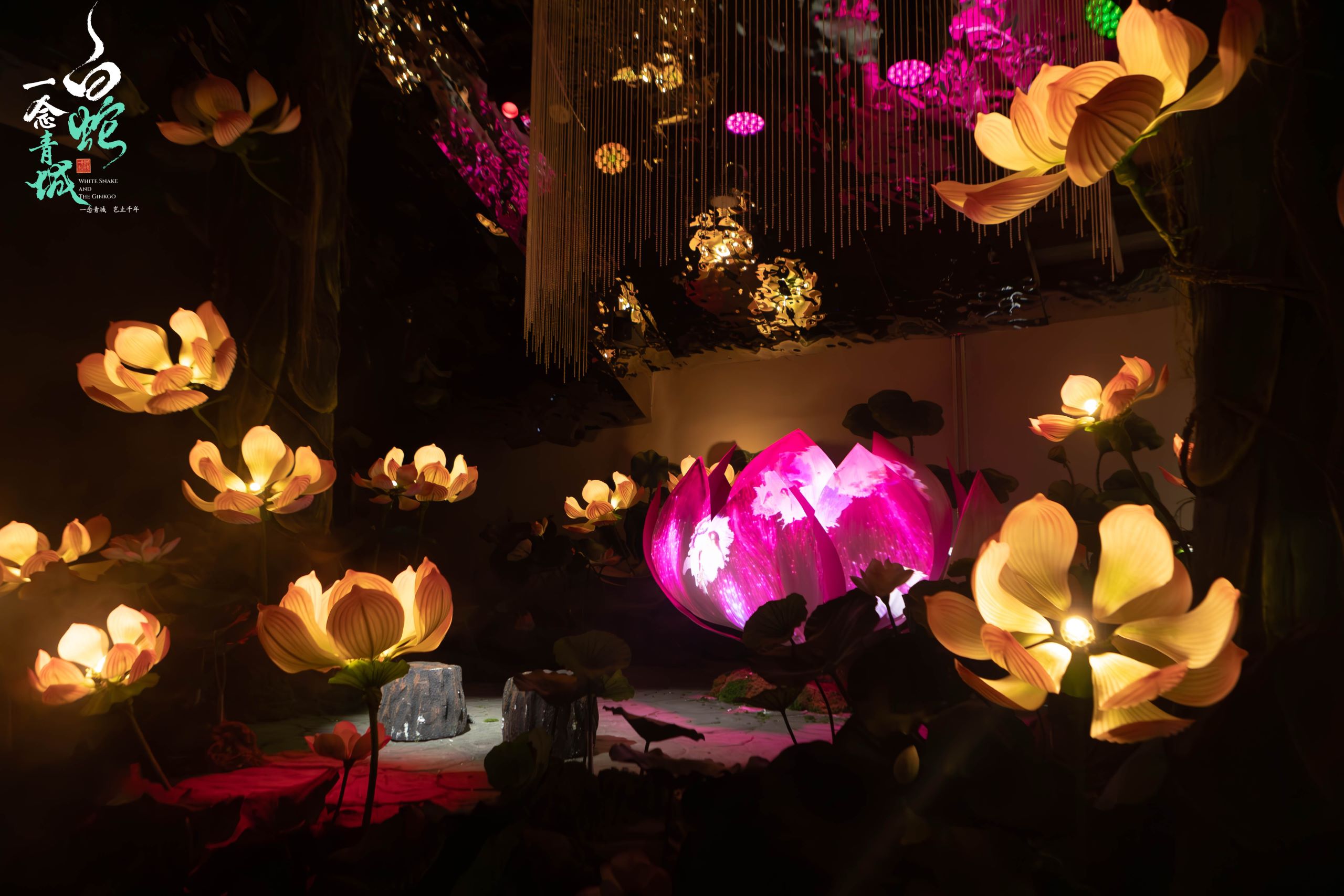 Chengdu Qingcheng Mountain