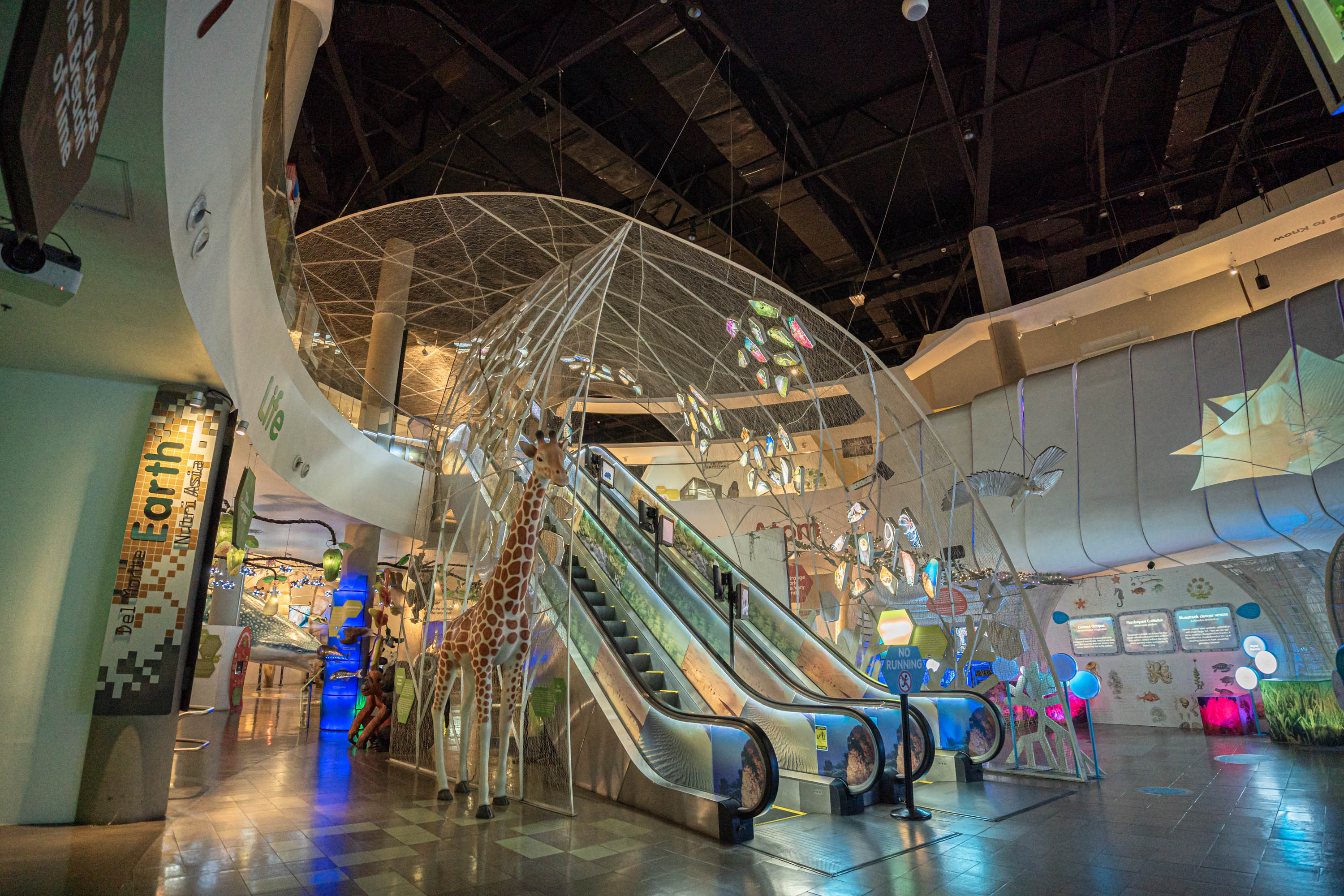 [20% OFF] The Mind Museum BGC Ticket