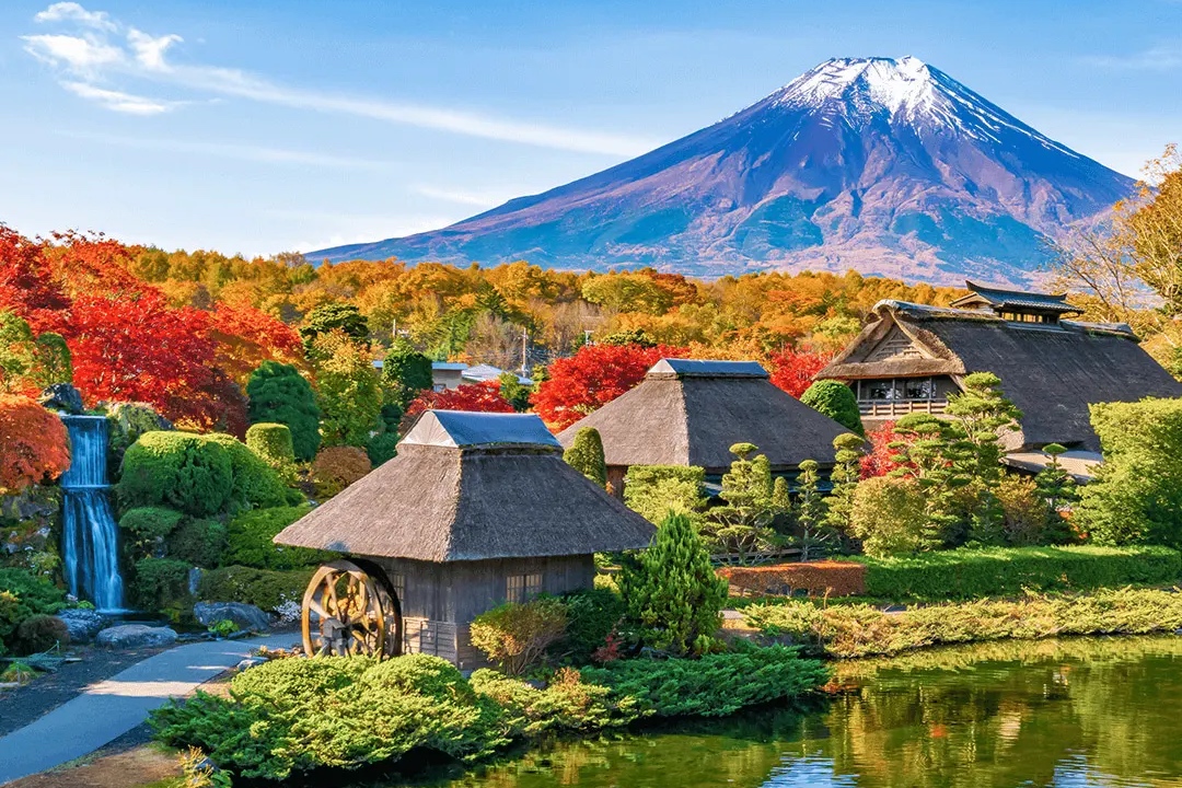 Arakurayama Asama Park & Lake Kawaguchi & Cable Car Day Tour