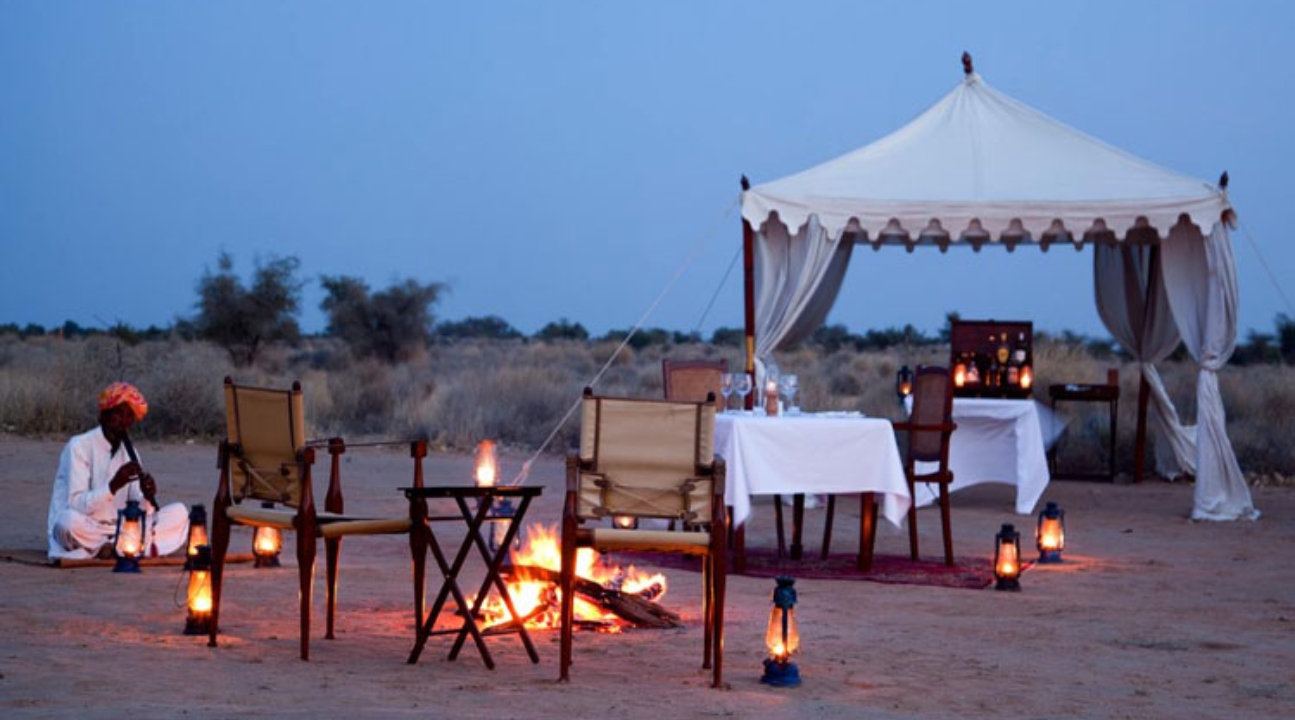 [SALE] 12% Off on Pushkar Camel Safari with Overnight Desert Camping ...