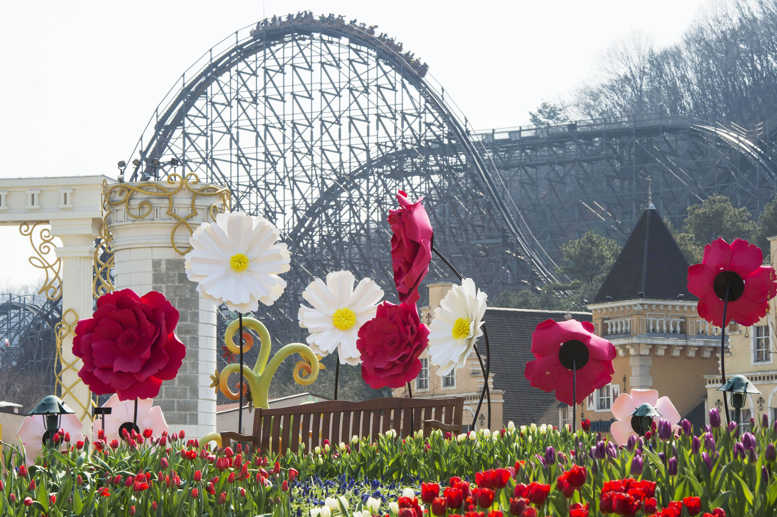 [SALE] 21% Off Everland Day Trip: Admission & Roundtrip Transfers from ...