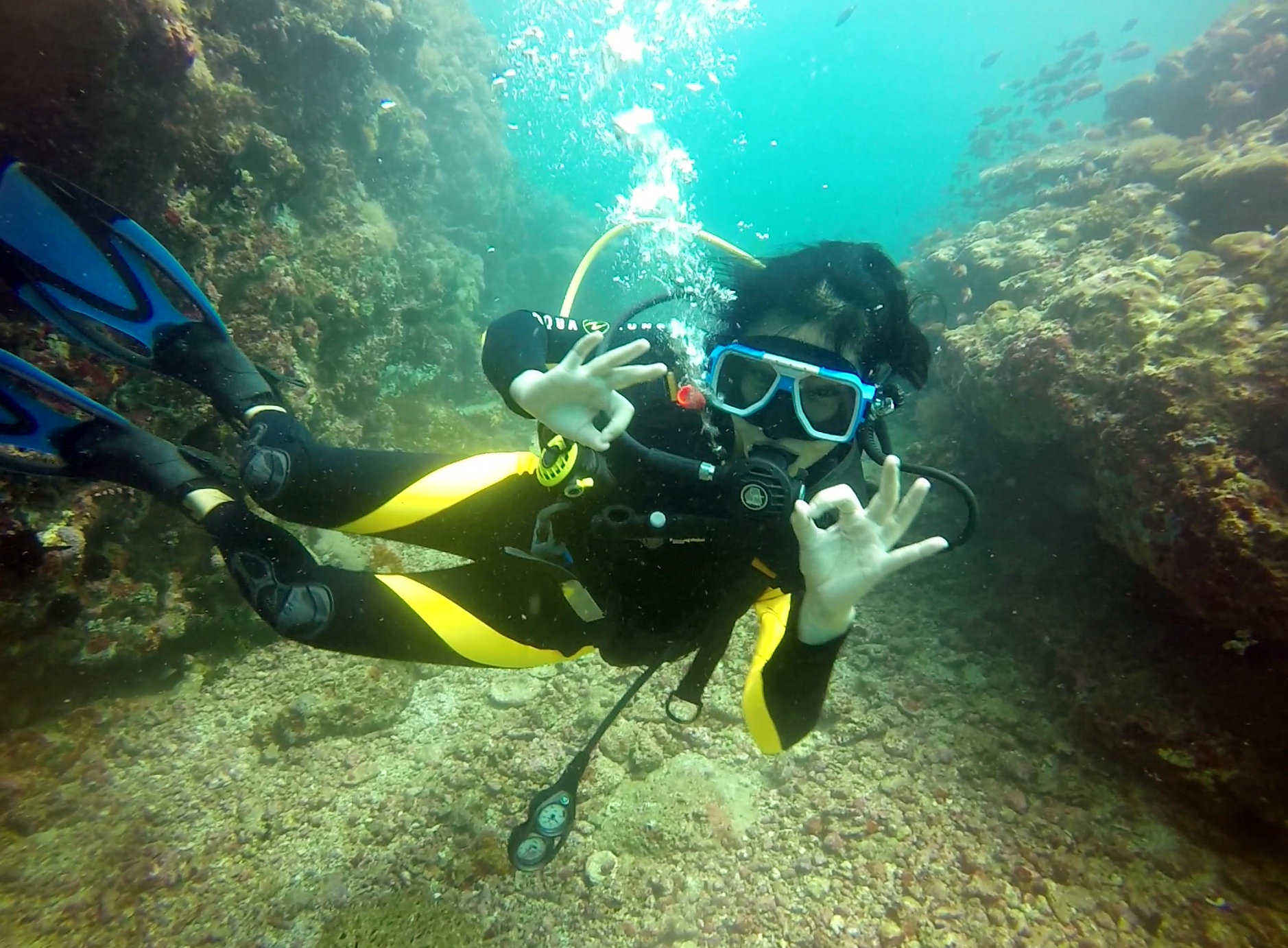 Your First Dive: Mindoro Scuba with PADI 5* dive center