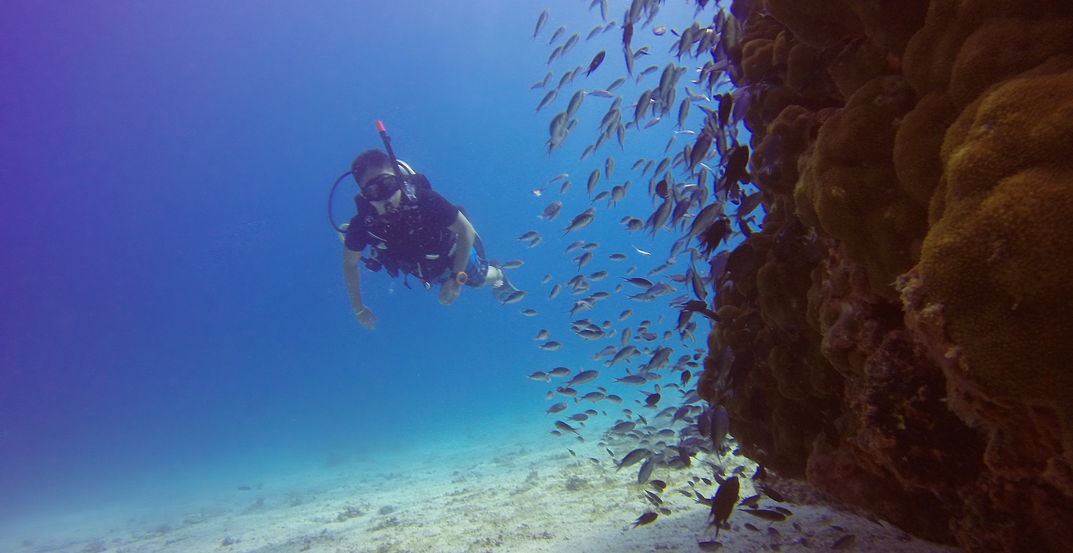 [SALE] 8% Off on Redang Island Diving Adventure - Ticket KD