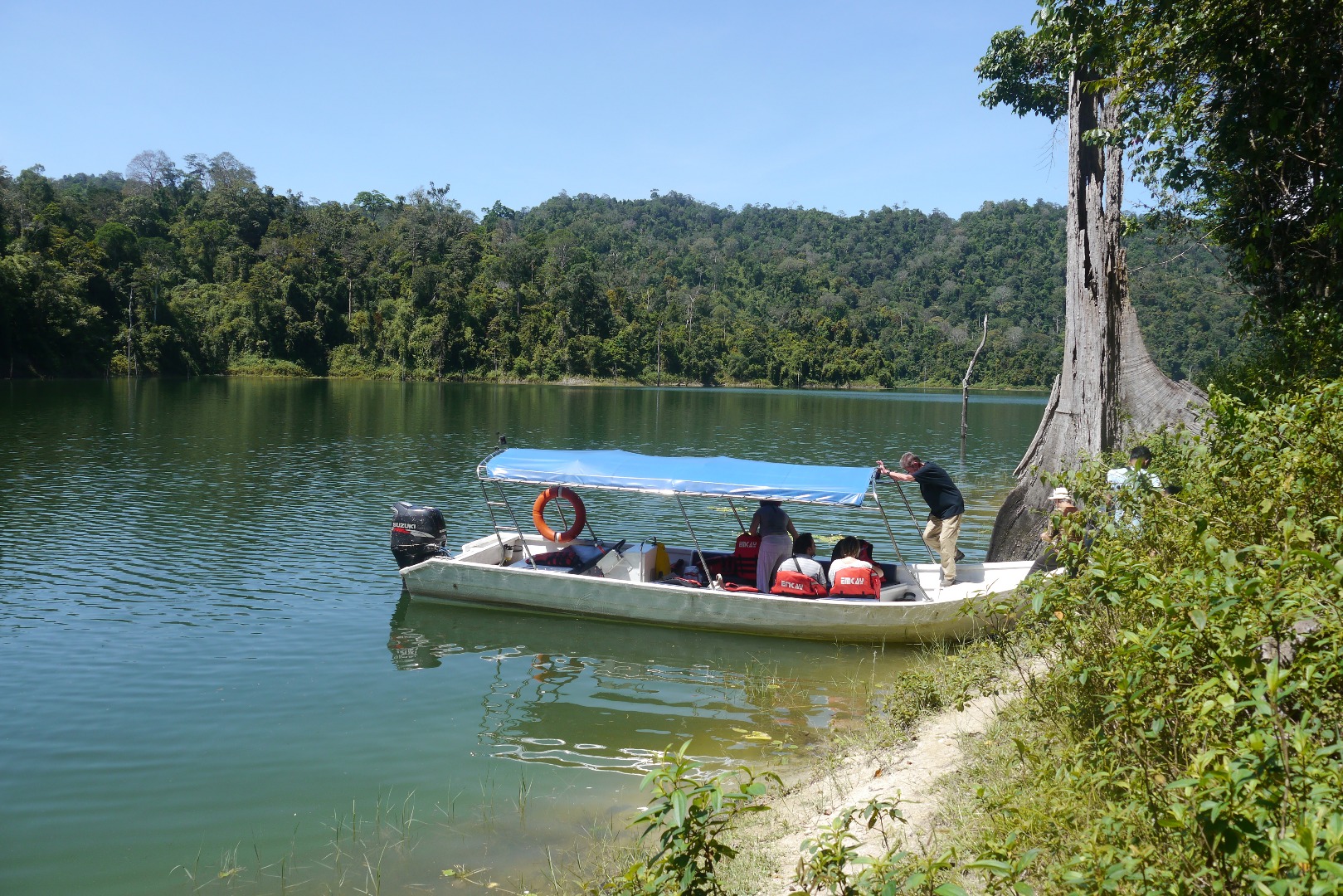[SALE] Explore the Ancient Belum Temenggor Forest Reserve with 17% Off ...