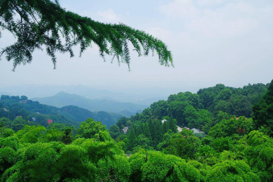 [SALE] Save 5% on Mount Mogan Hiking Tour from Hangzhou - Ticket KD