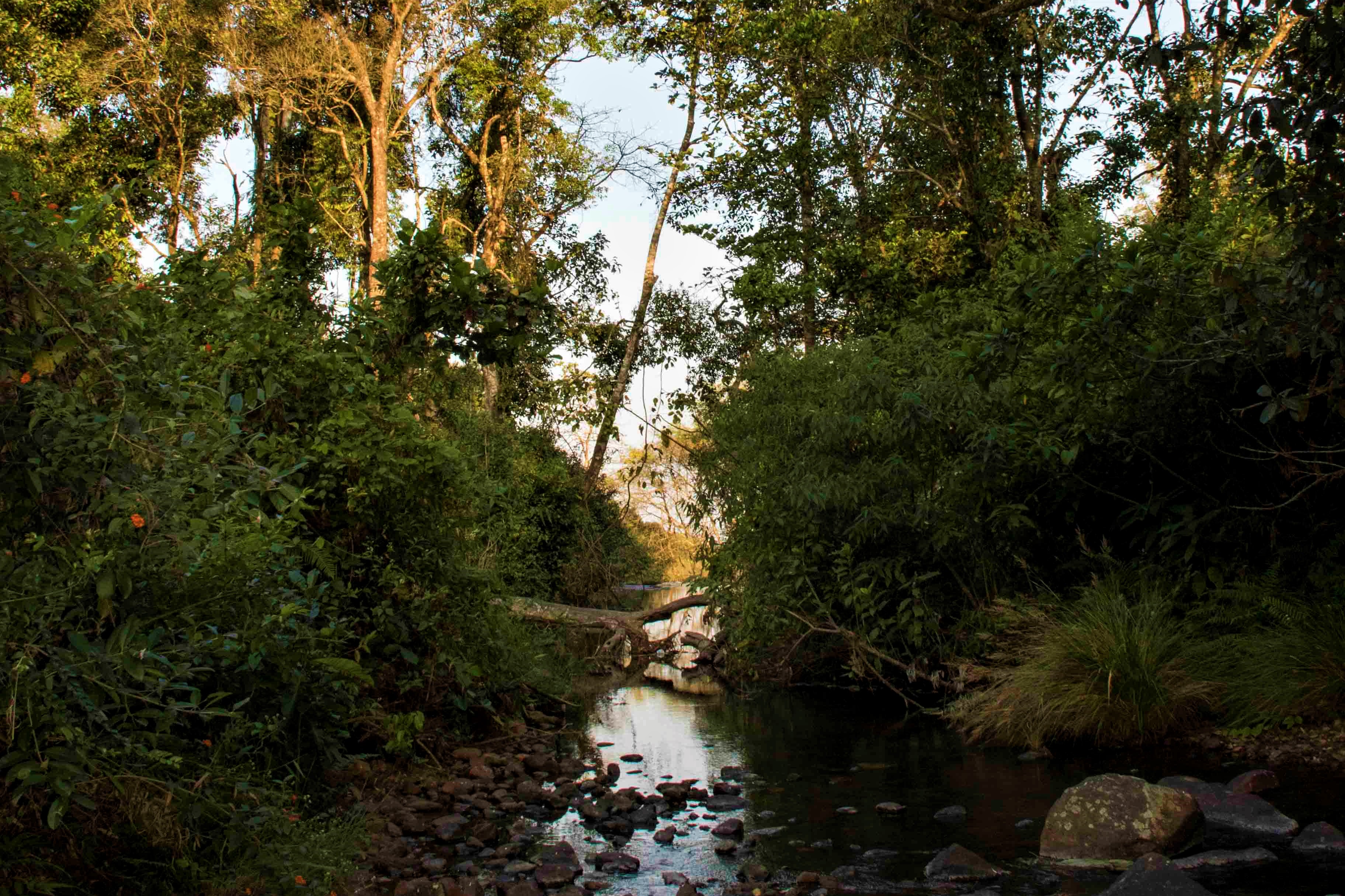 [SALE] Explore Coorg: Cycle to Chelavara Waterfall & Kabbe Hills - 16% ...