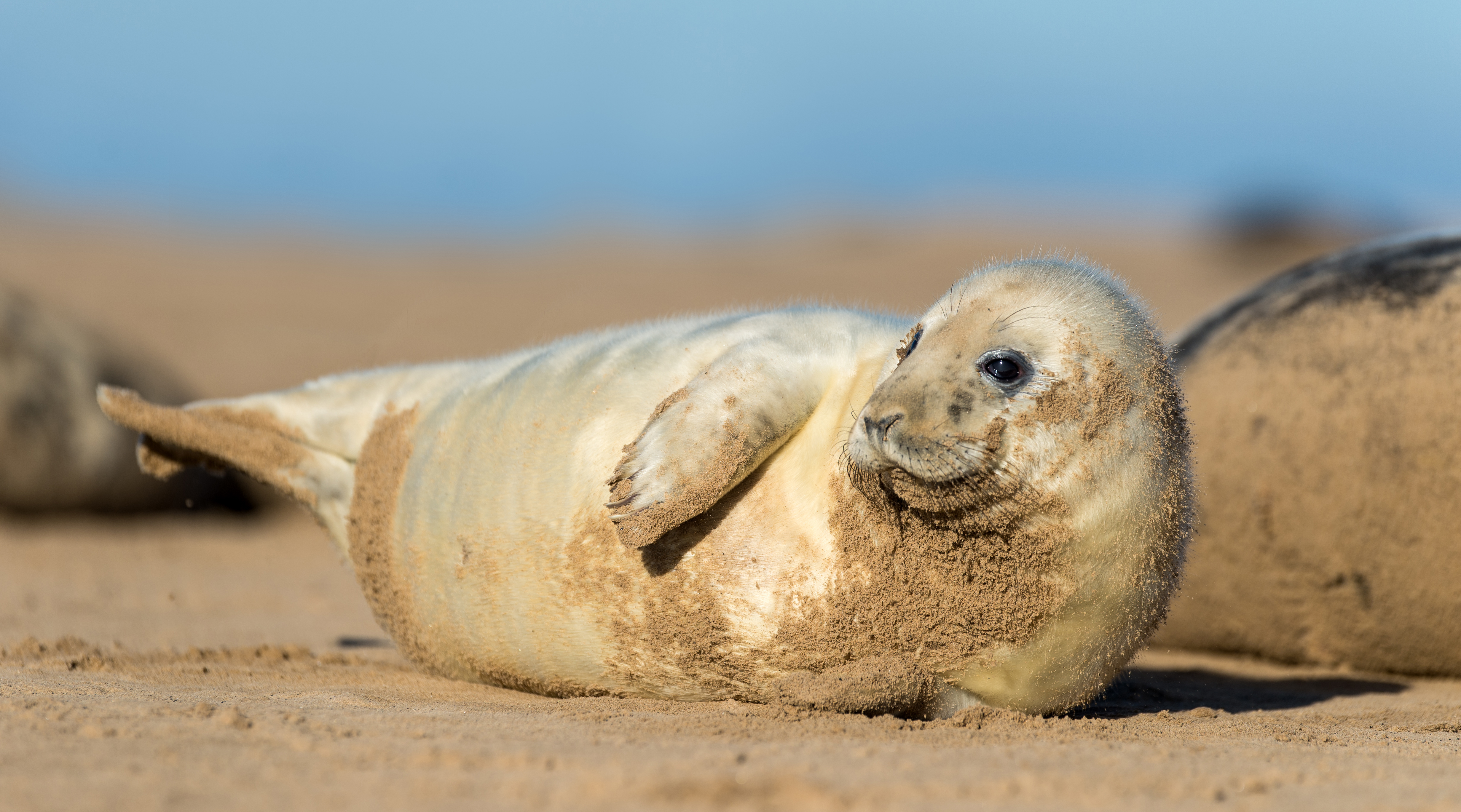[SALE] Jervis Bay South Coast Cruise Sale 10% - Ticket KD