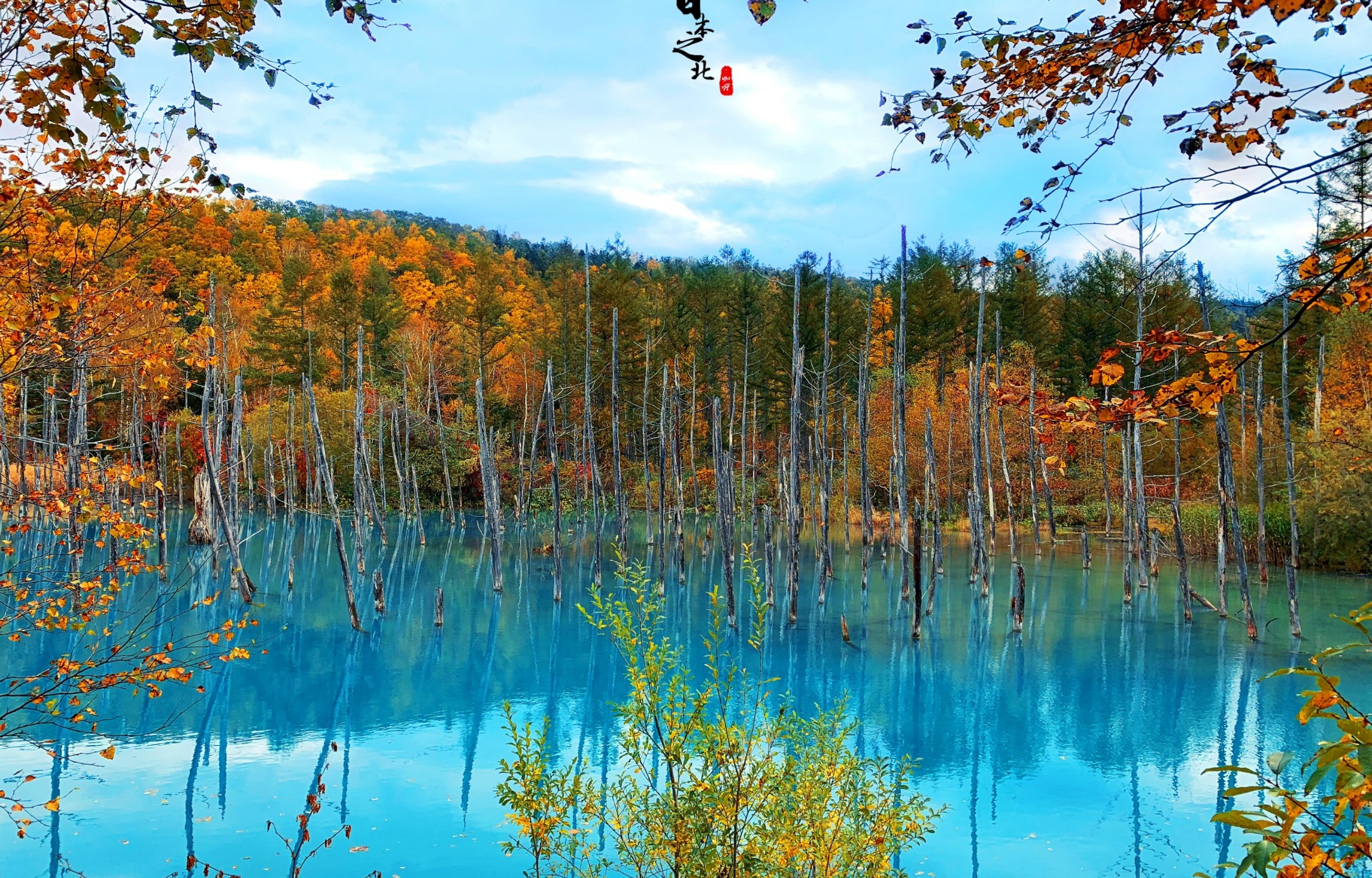 อาโออิเคะ