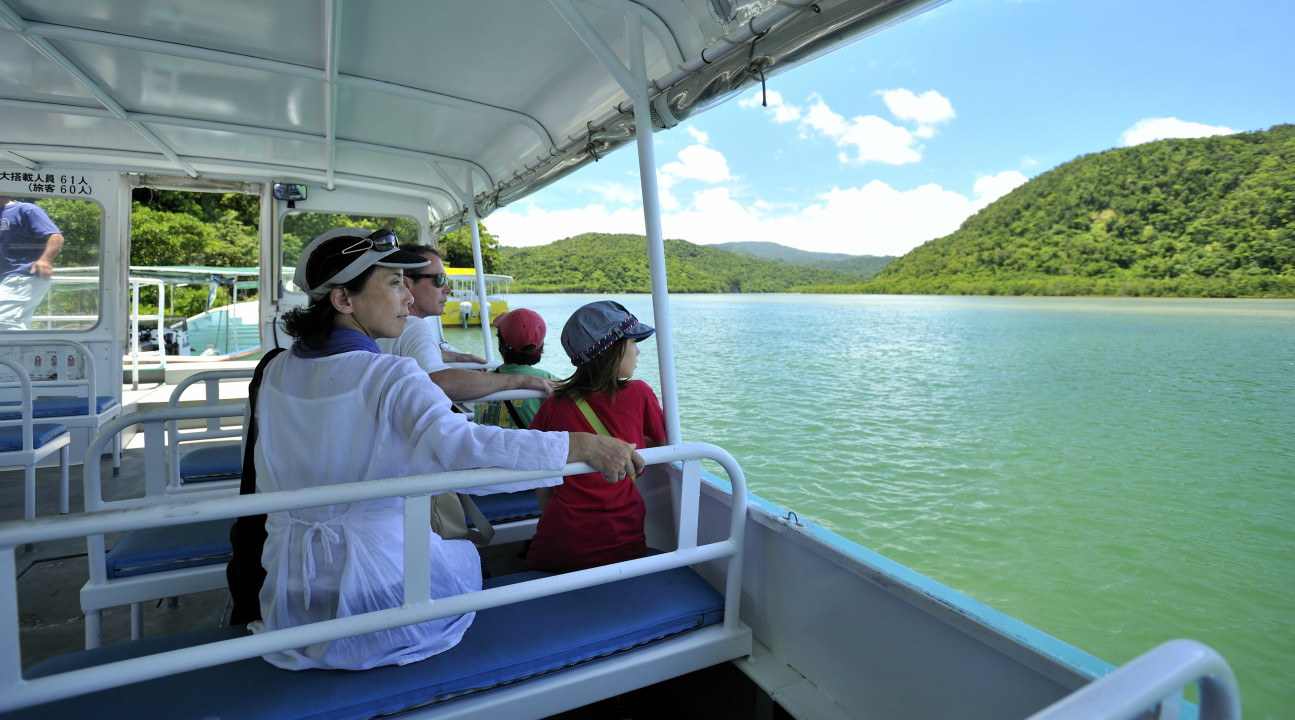 [SALE] Explore Iriomote Island: Urauchi River Cruise, Maryudo Falls ...