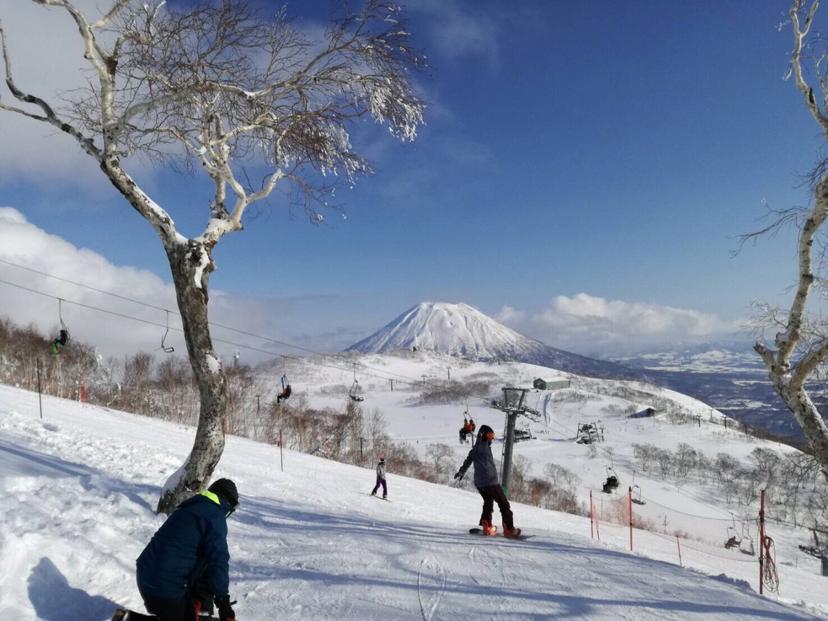 Niseko Grand Hirafu Ski Resort Lift Ticket 6 Hours Round Trip Bus Ticket Departurearrival