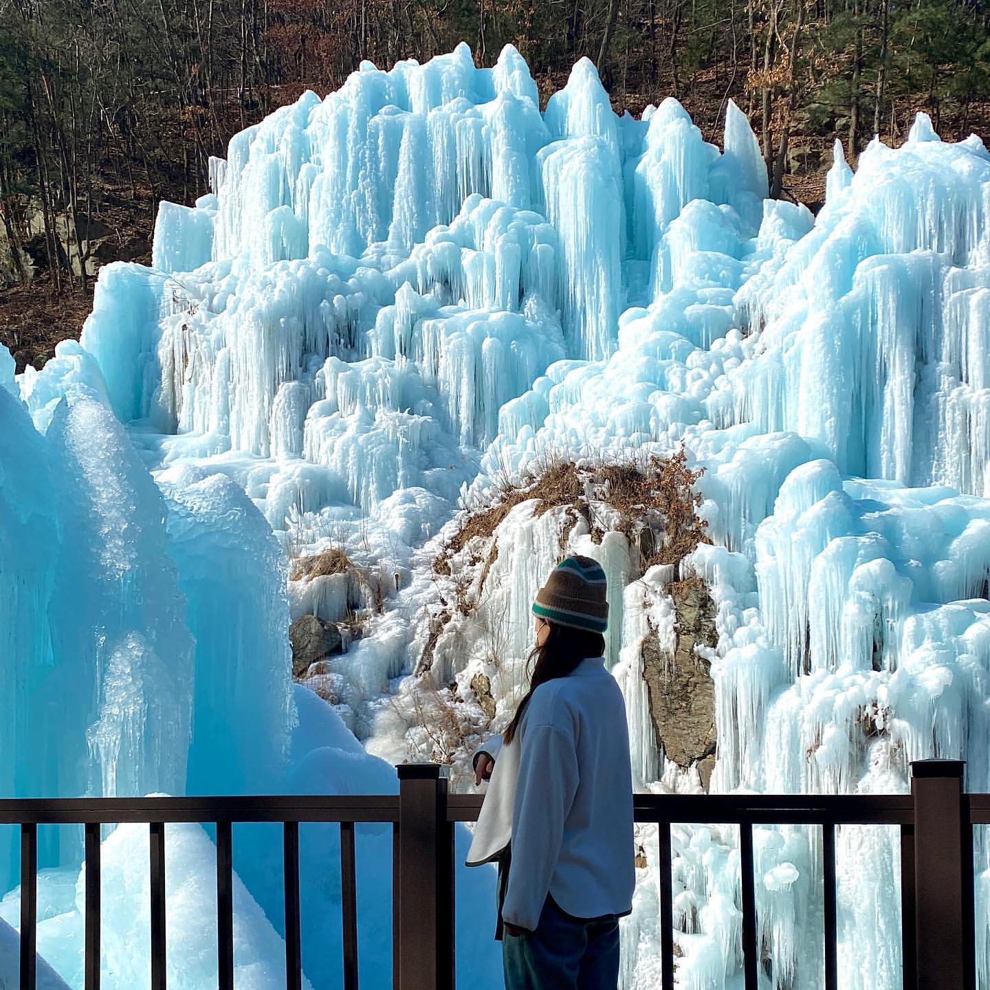 Cheongyang Ice Festival & Nami & Eobi Ice Valley & Strawberry Tour
