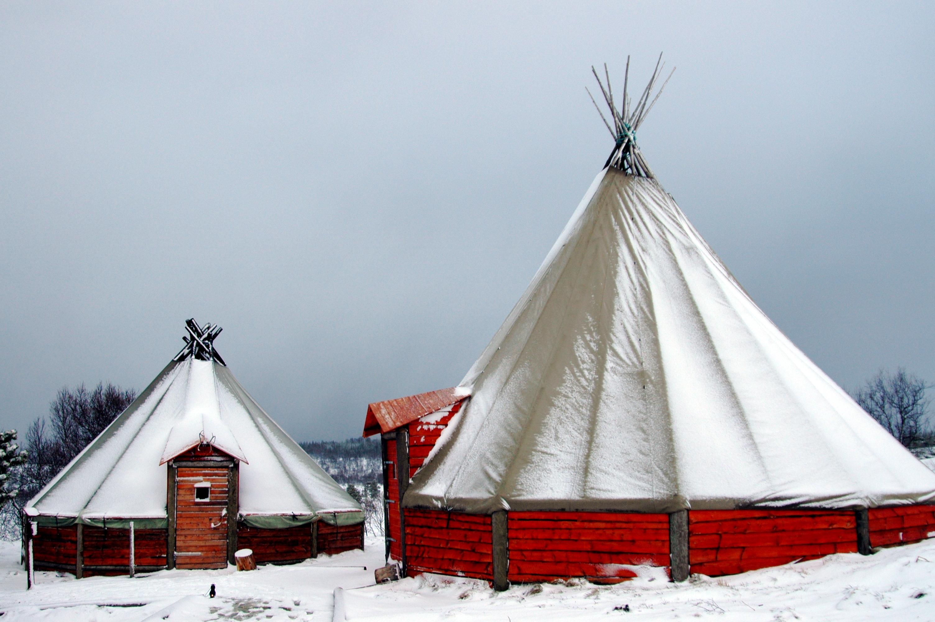 [SALE] Exclusive 2D1N Aurora Camp & Husky Sledding Adventure – Save 4% ...