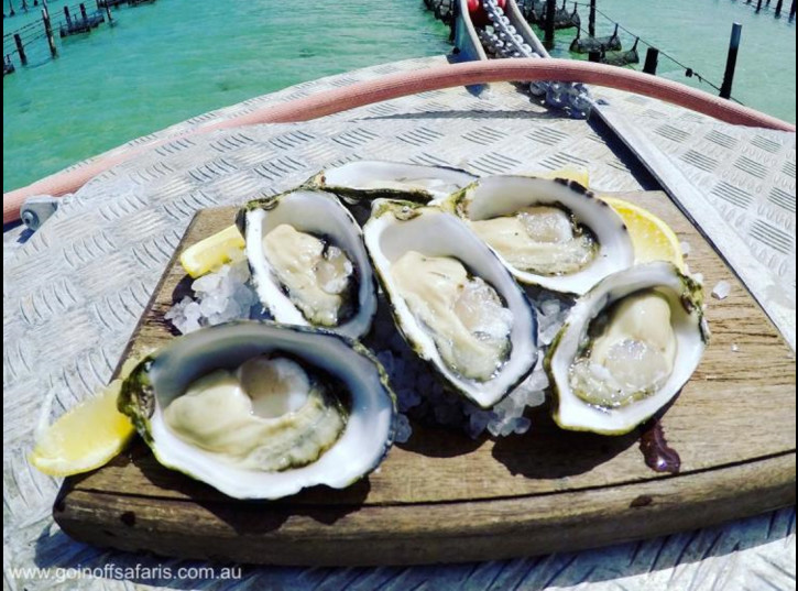 [SALE] Explore Coffin Bay: Oyster Tasting, Wildlife, and Scenic Views ...