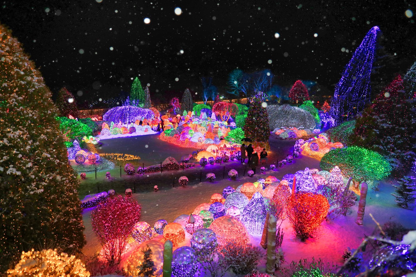 Cheongyang Ice Festival & Nami & Eobi Ice Valley & Strawberry Tour