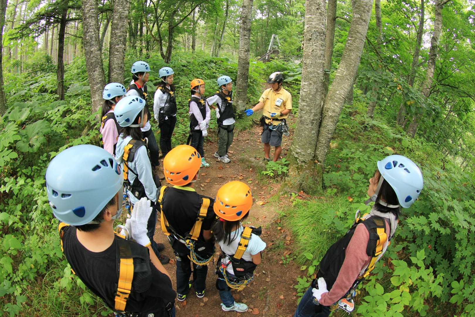 [SALE] Hokkaido Forest Zip-lining Adventure - Ticket KD