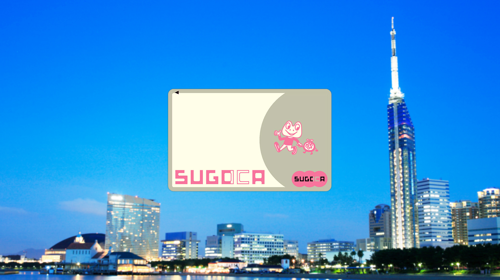 Sugoca的價格推薦 - 2023年5月| 比價比個夠BigGo