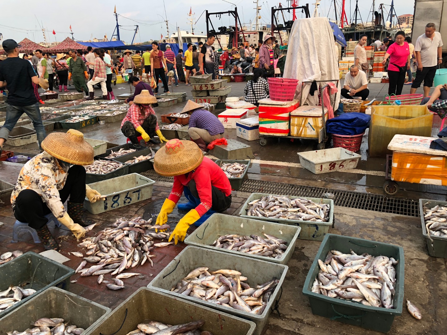 [SALE] Explore Sanya's Nanshan Temple on a Day Tour - Ticket KD