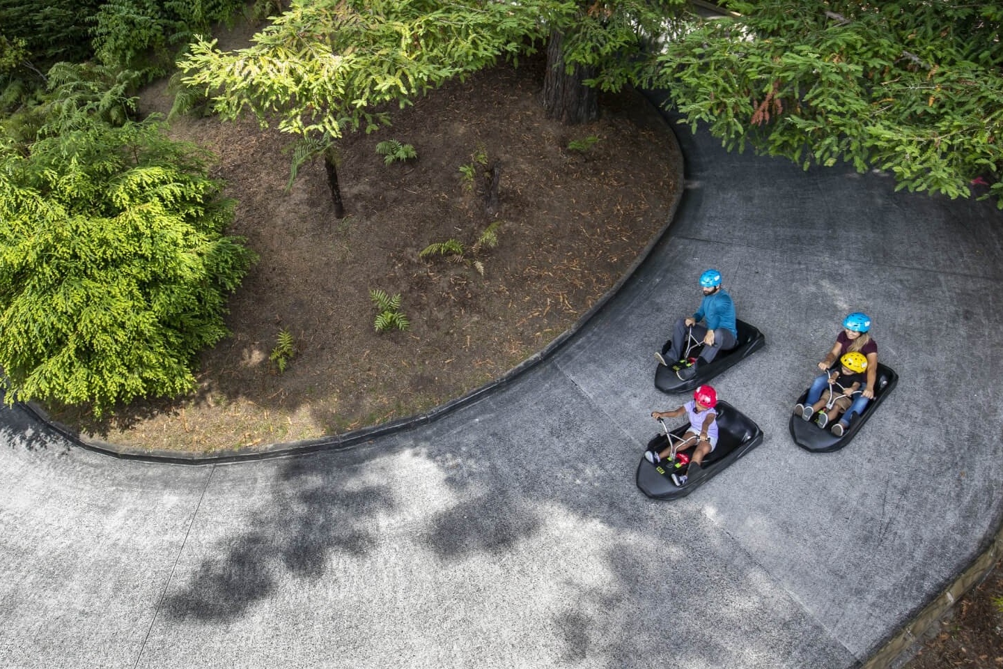 Skyline Gondola and Luge Ticket in Rotorua