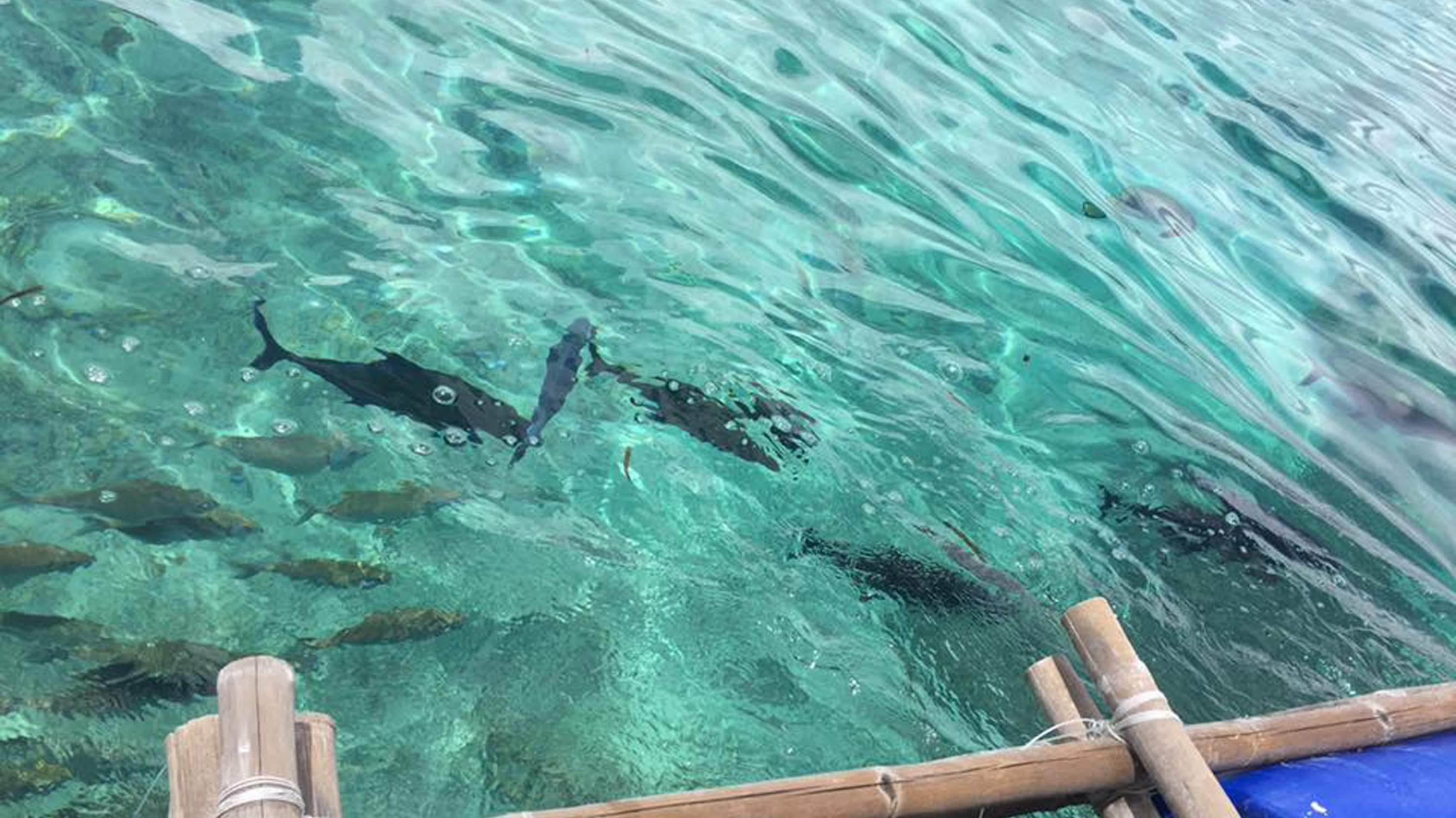 Matnog Sorsogon Bicol Day Tour with Subic White Beach Hopping