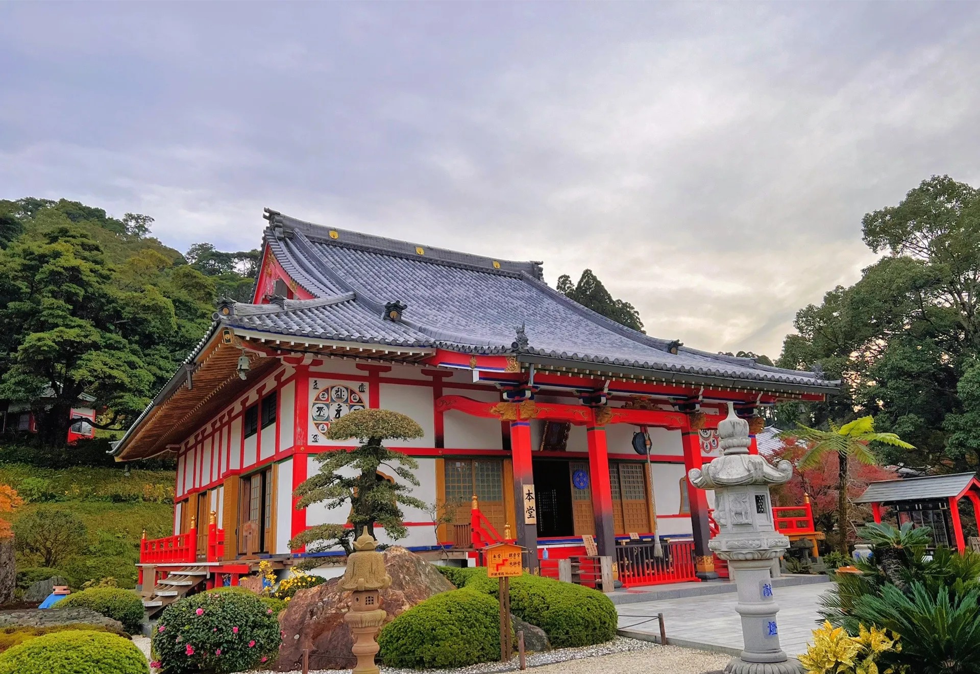 [Kagoshima] [Kagoshima Ibusuki Day Trip] Winter Limited Rapeseed Flower ...