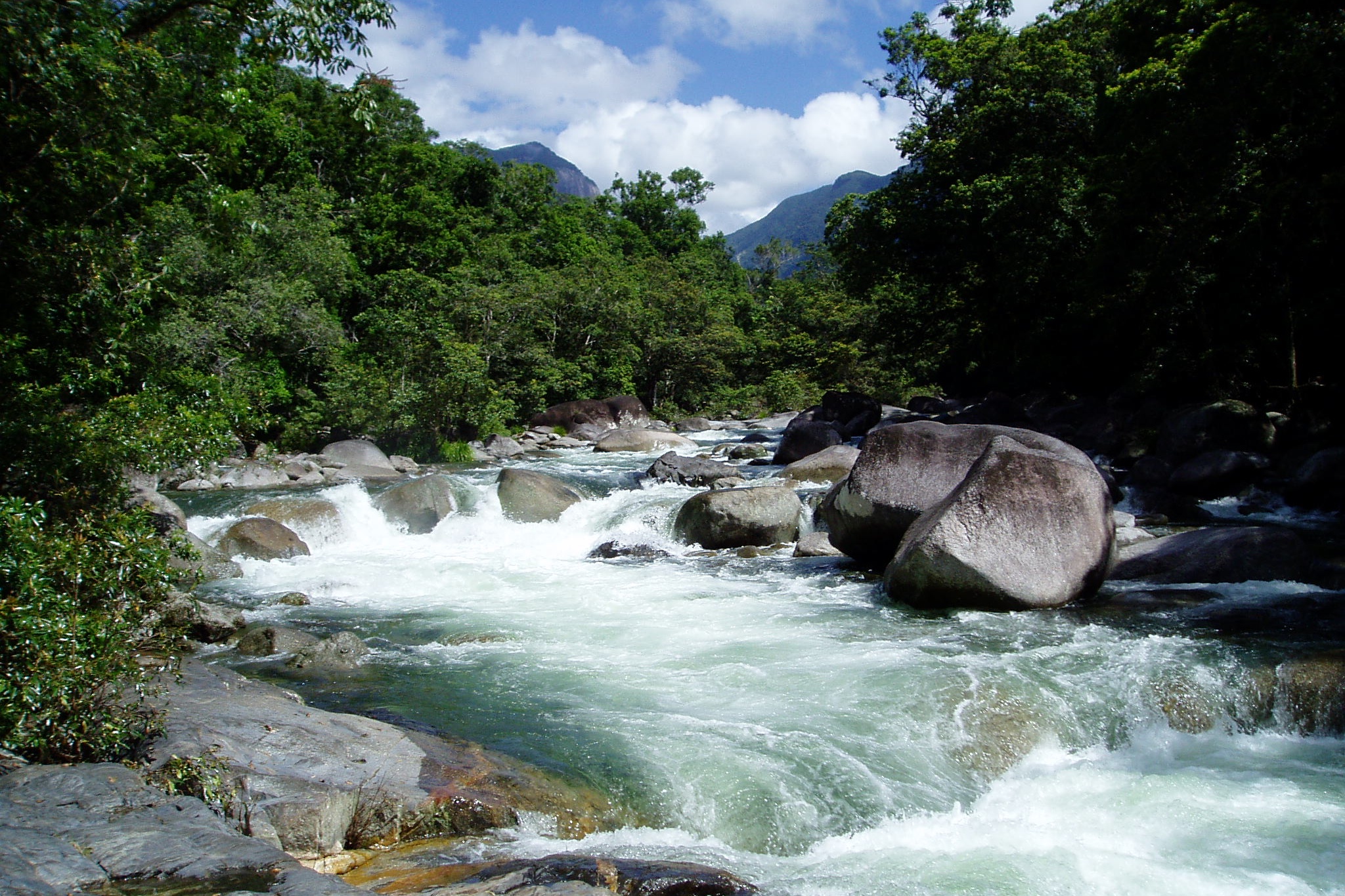 "Daintree Rainforest, Cape Tribulation & Mossman Gorge Day Tour ...