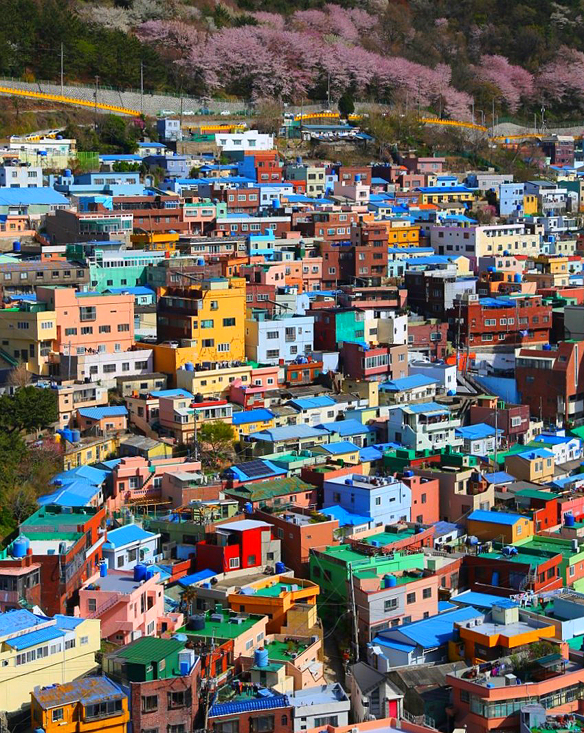 Explore Gamcheon Village, Gukje & Jagalchi Fish Market, Busan Tower