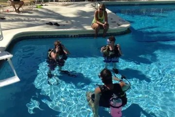 Get Back in Gear: Scuba Refresher in Islamorada with PADI 5* Center