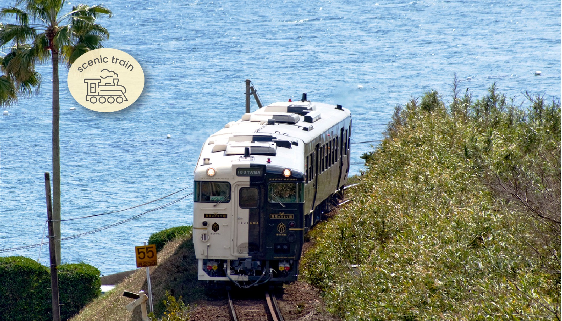 Ibusuki no Tamatebako train ticket: KagoshimatoChuo to Ibusuki