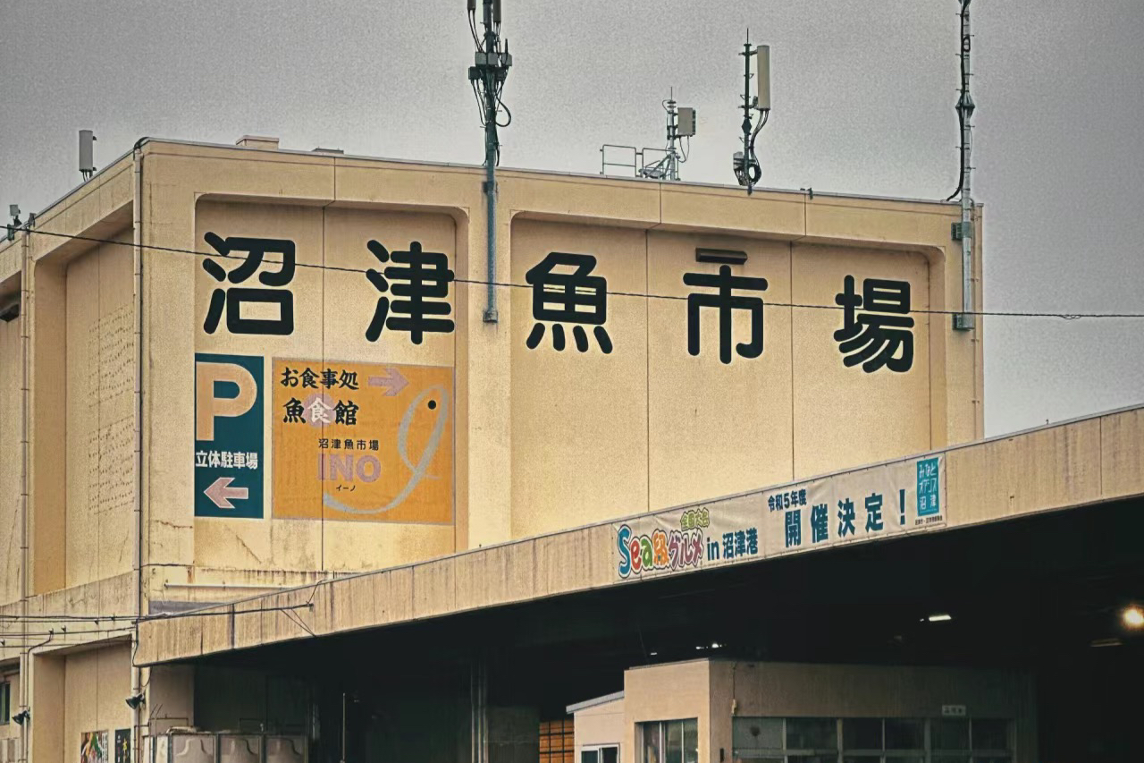 [One-day tour of the latest check-in hotspot of Mount Fuji] Arakurayama ...