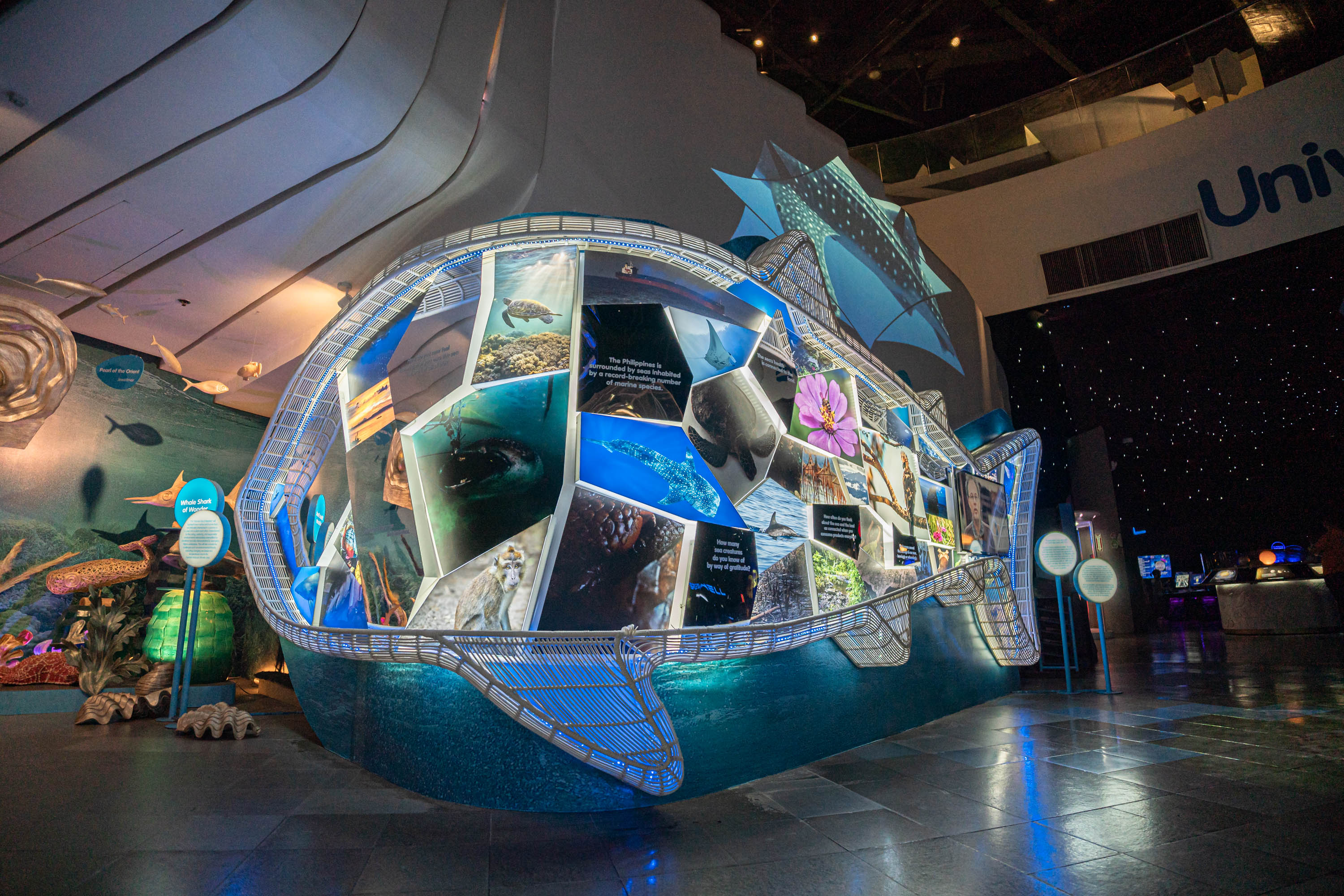 The Mind Museum BGC Ticket - HyperAir