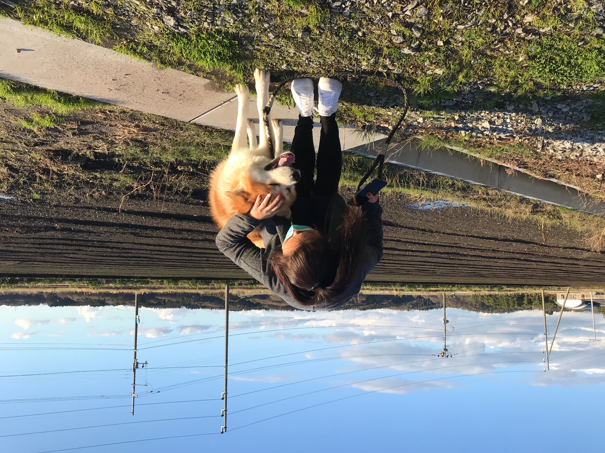 [Akita] Interaction with Akita-inu Dogs in Akita and JR Pass for Whole ...