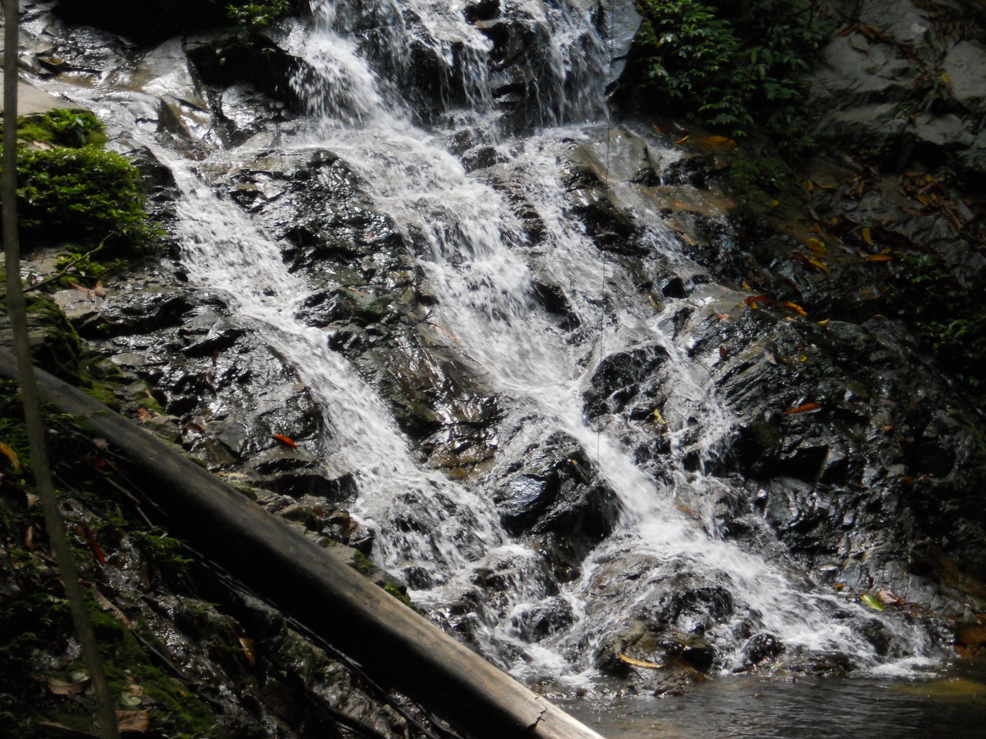 [SALE] Explore the Ancient Belum Temenggor Forest Reserve with 17% Off ...