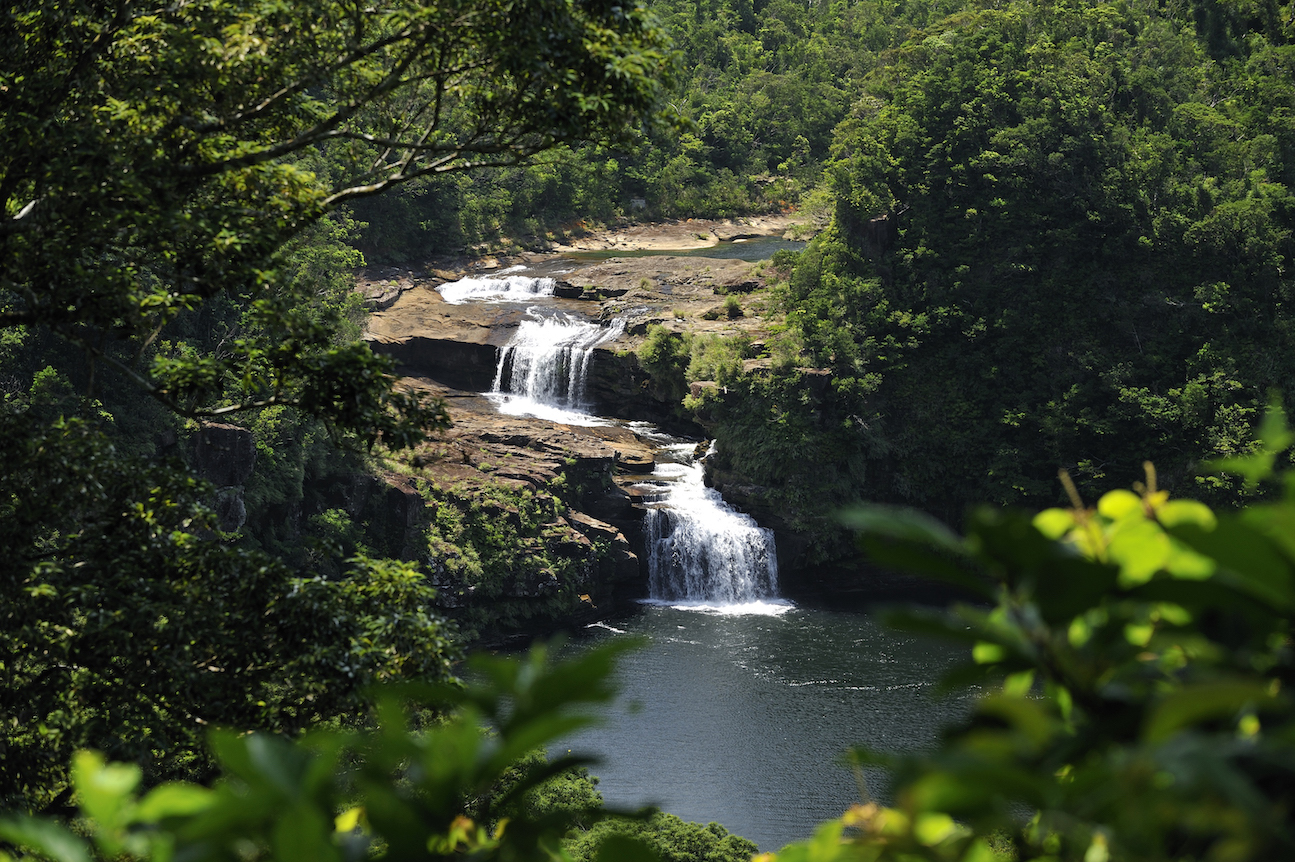 [SALE] Explore Iriomote Island: Urauchi River Cruise, Maryudo Falls ...
