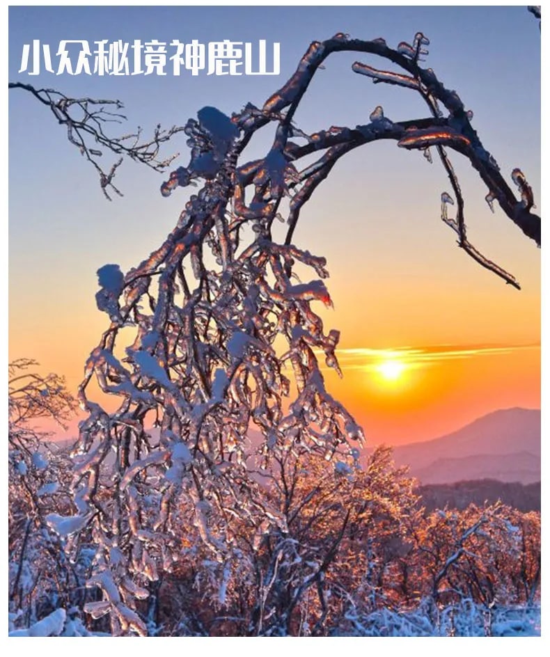 7 days and 6 nights in Northeast Yanji and Changbai (Snow Ridge Travel ...