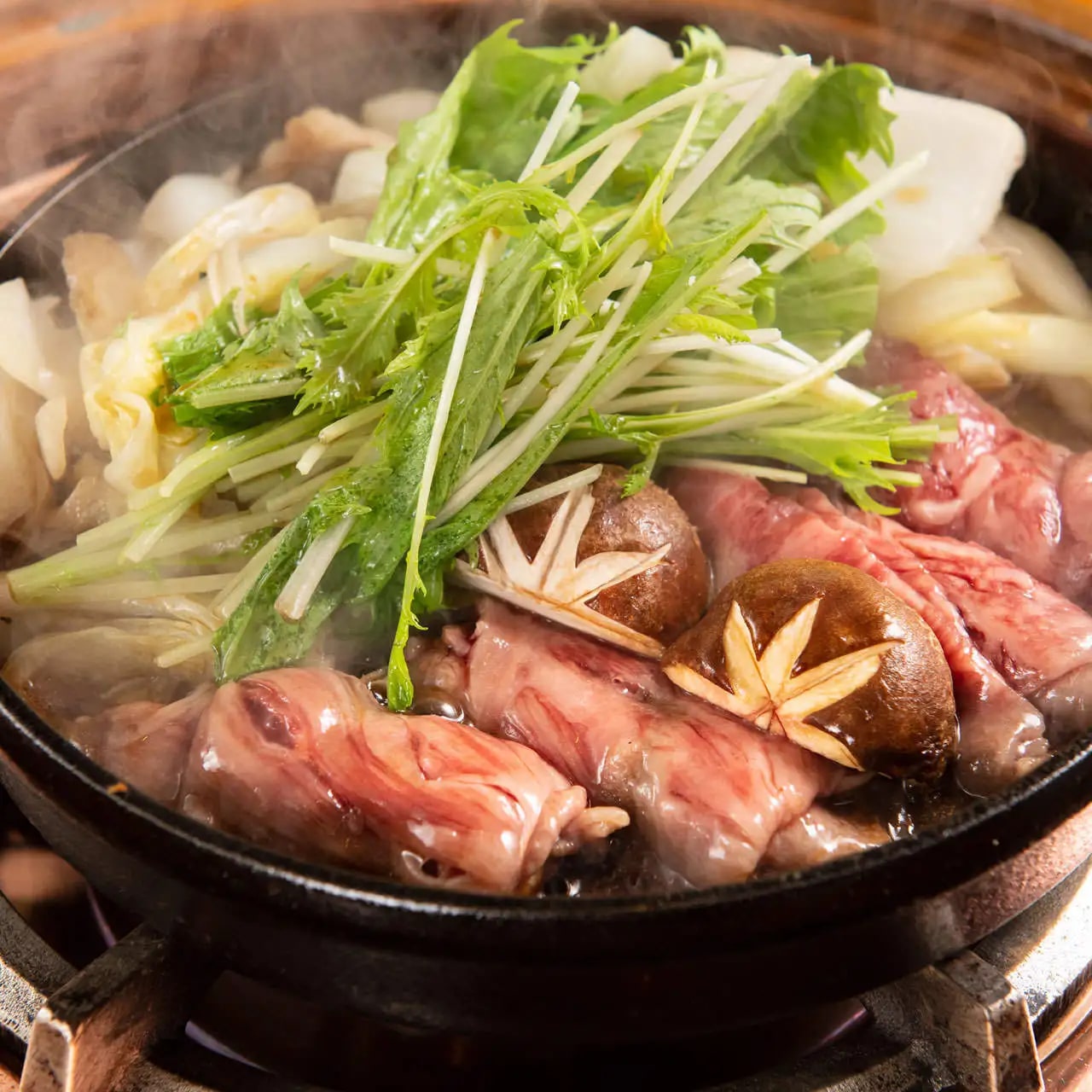 Aobaya Honten (青葉家) Sukiyaki and Shabu shabu in Ginza Tokyo