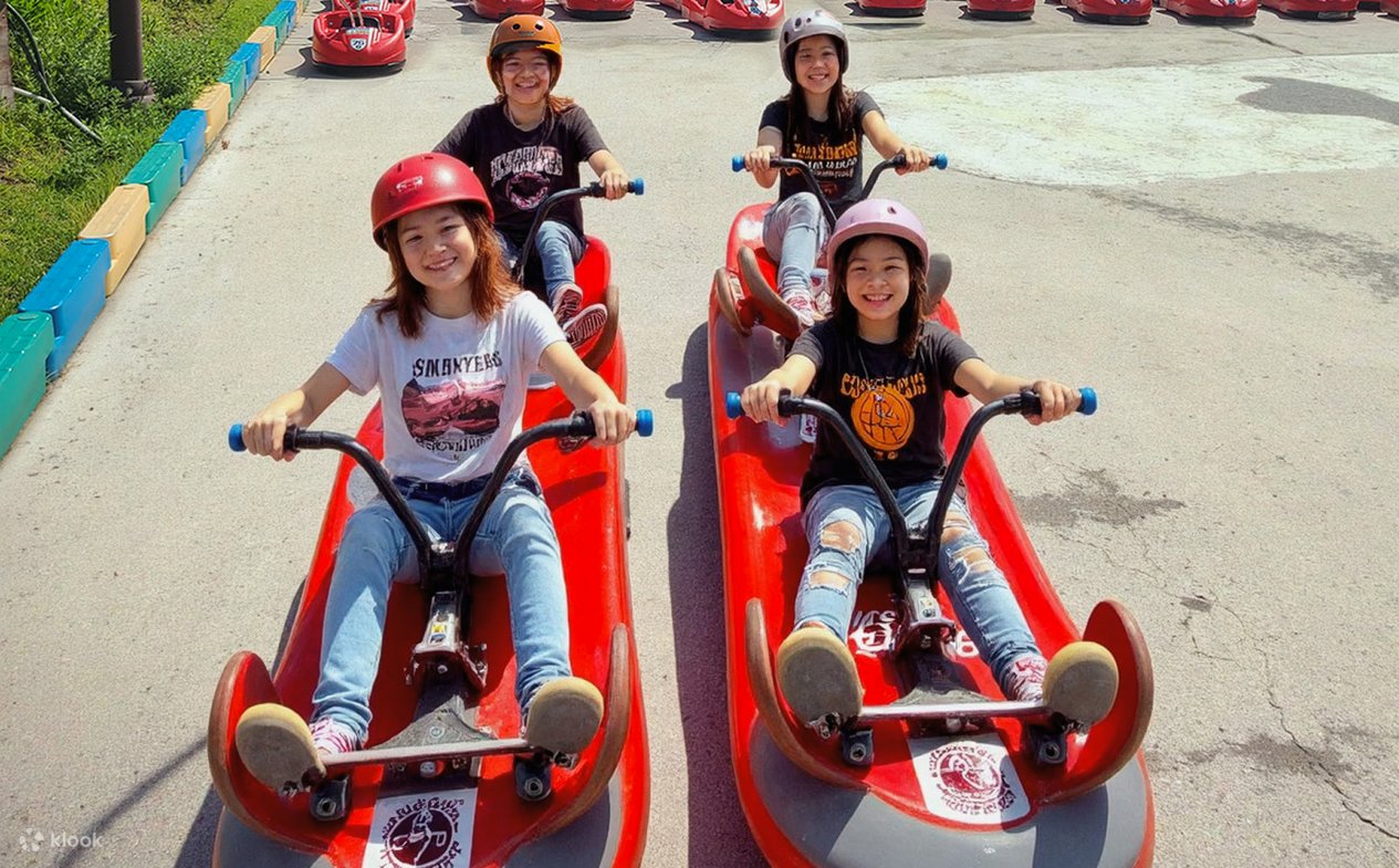 Incheon Day Tour: Luge, Railbike & Ferry with Seagull Feeding - Klook