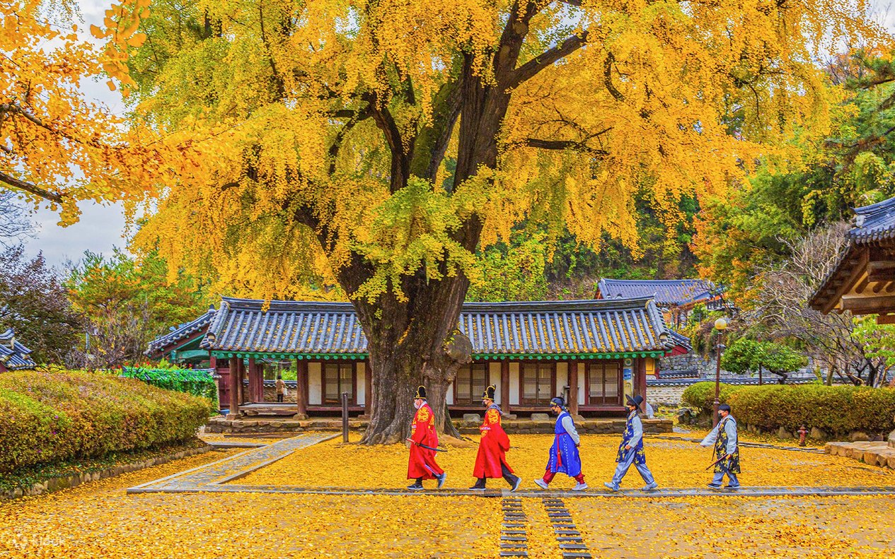 Jeonju Hanok Village & Seasonal Popular Attractions Day Tour - Klook Canada