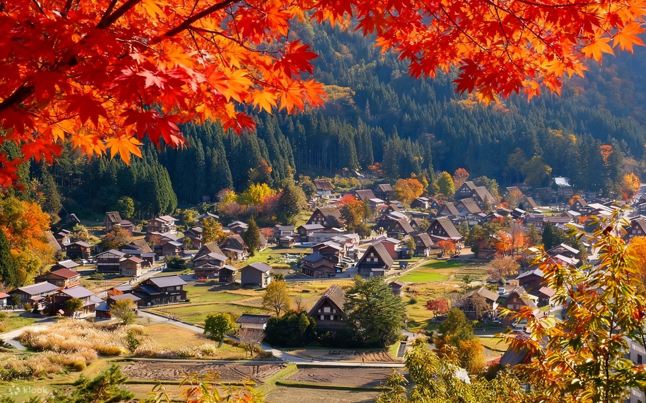 Shirakawa-go & Hida Takayama: Miyagawa Morning Market, Takayama Jinya, Gassho Village Day Trip ...