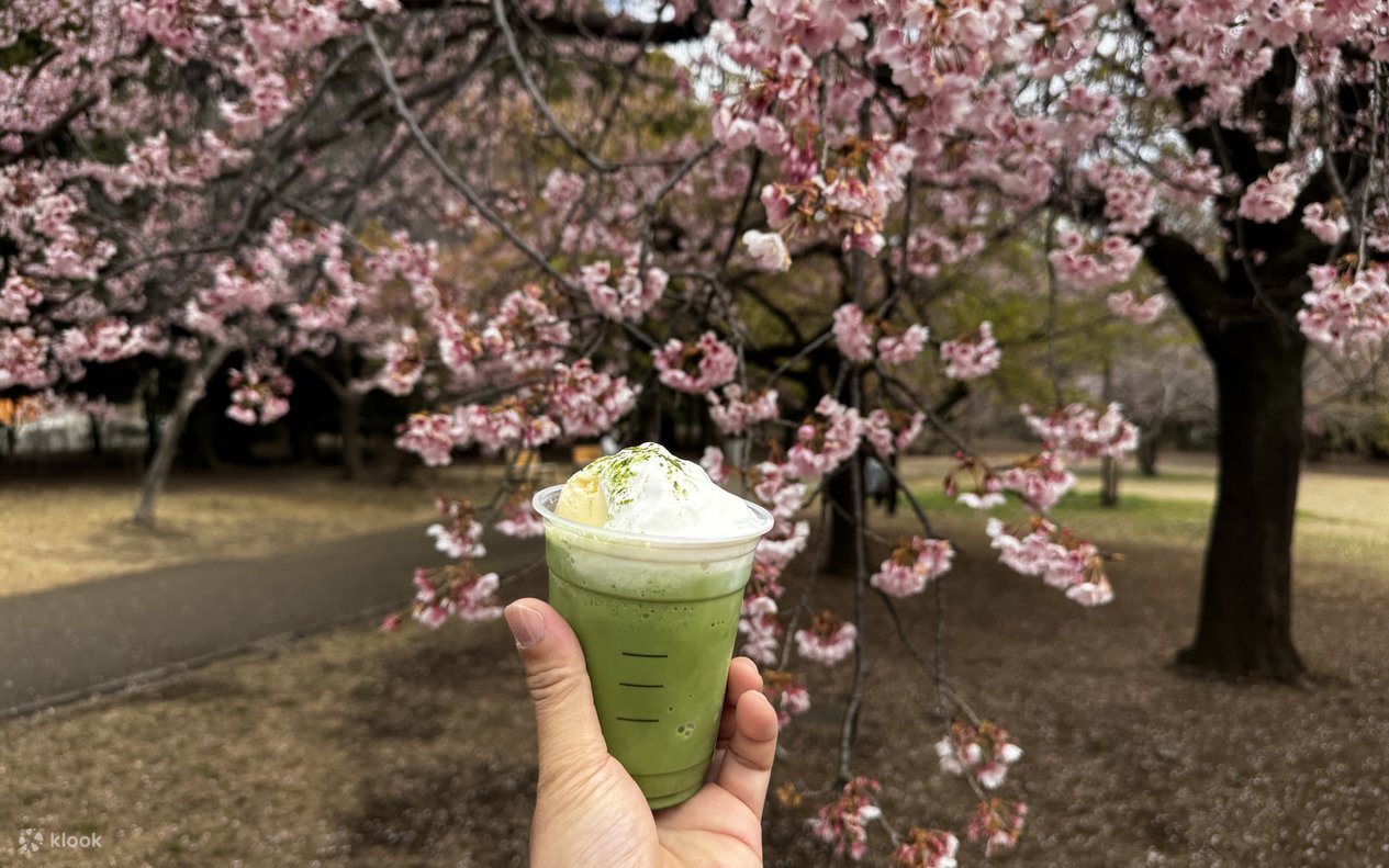 Tokyo: Make Your Matcha Drinks - Cafe-Style Experience - Klook Australia